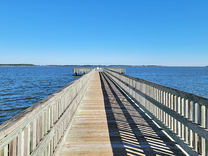 This wooden pathway to paradise stretches endlessly, promising discoveries at every weathered plank.