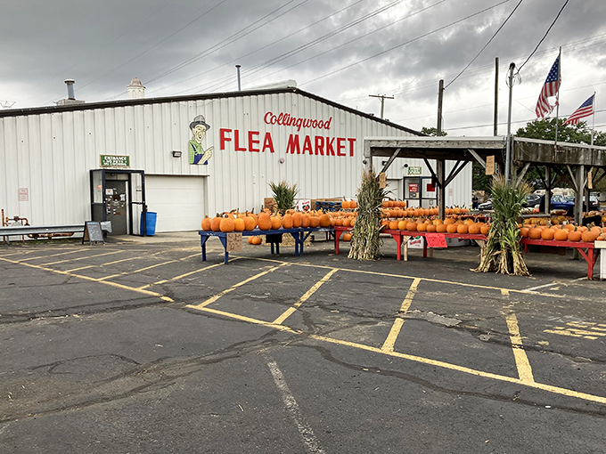 The iconic white building with its cheerful signage and seasonal pumpkin display welcomes bargain hunters to this Farmingdale institution. 