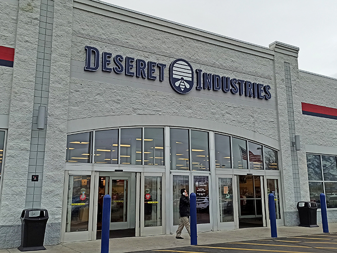 Approaching this thrift store paradise feels like discovering Ali Baba's cave—except instead of "Open Sesame," the magic words are "Incredible Deals."