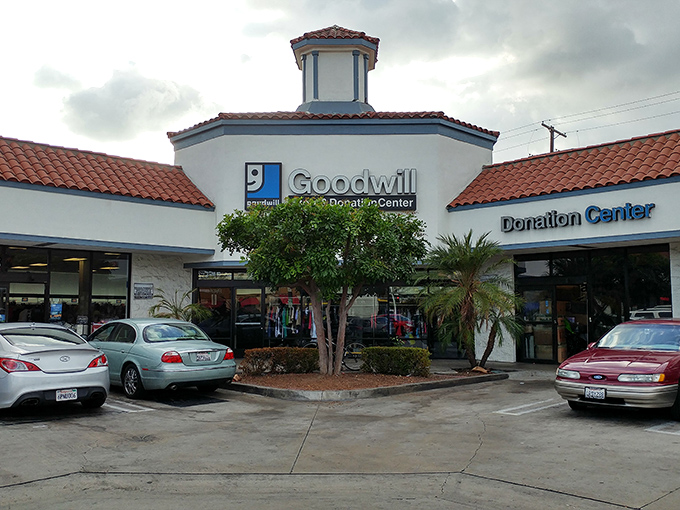 Where BMWs and budget sedans share parking spaces in perfect harmony – thrift shopping: the great equalizer of Los Angeles retail therapy.