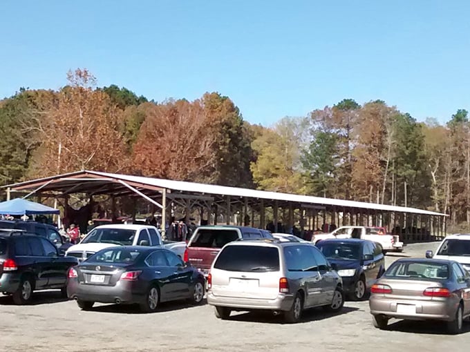 Weekend warriors have arrived in force! The packed parking area shows just how popular this Little Rock institution has become for those seeking one-of-a-kind treasures and nostalgic finds.