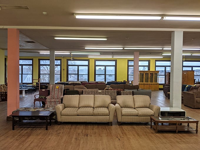 Couches lined up like hopeful contestants at a talent show, each with a story to tell and a new life to offer someone's living room.