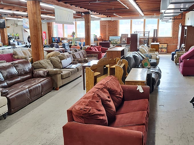 A sofa safari where every cushion tells a story. One person's cast-off becomes another's "this is exactly what I've been looking for!"