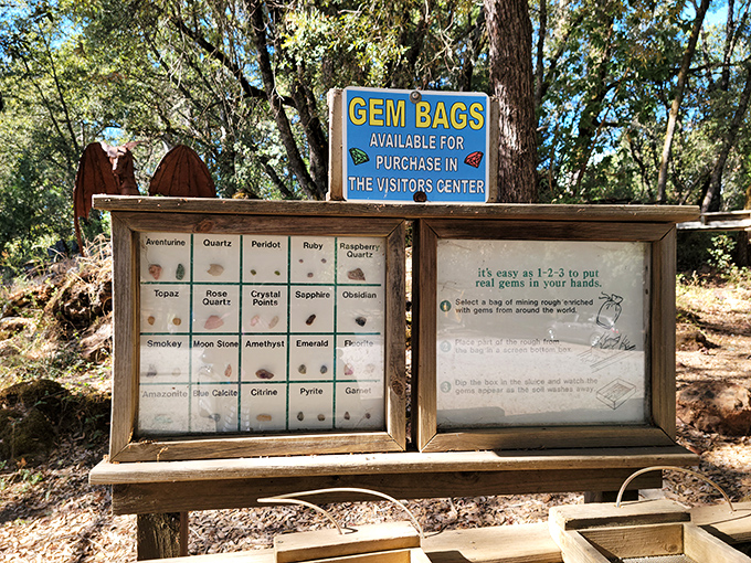 Gem bags available for purchase! Because nothing says "I visited a cave" like bringing home tiny rocks your grandkids will definitely not lose.