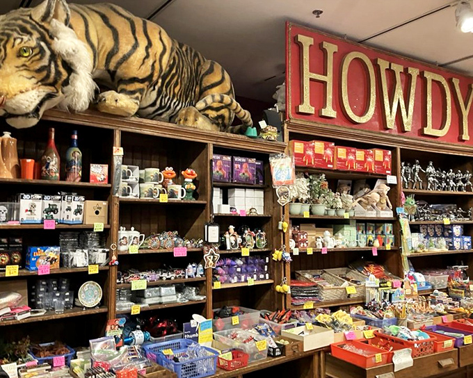 The gift shop greets you with a tiger's grin and a "HOWDY" that perfectly captures the museum's personality&mdash;part curiosity cabinet, part treasure hunt.