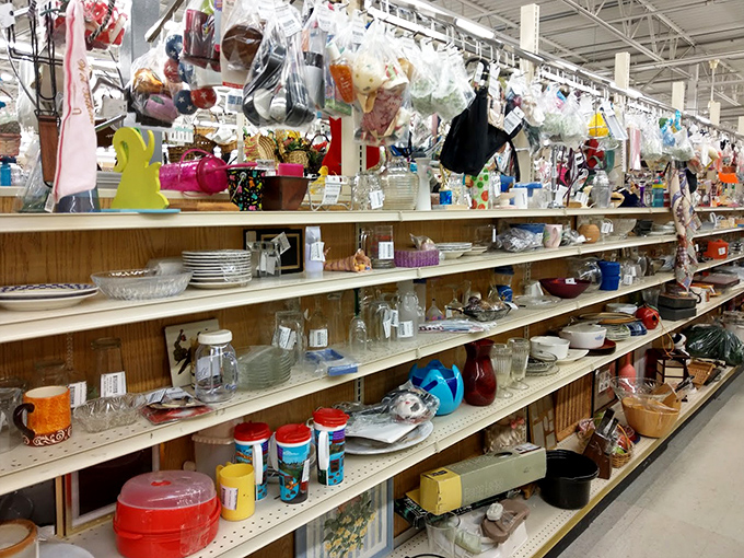 Treasure hunters paradise: Shelves packed with glassware, dishes, and knickknacks waiting for their second chance at making a home beautiful.