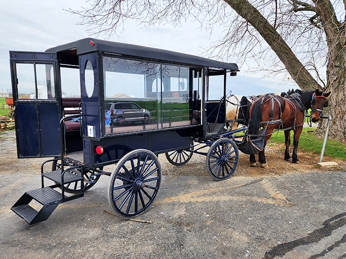 Not your typical Uber! These meticulously crafted enclosed buggies offer comfort while maintaining authentic Amish craftsmanship.