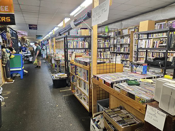 Nature's sunlight illuminates this treasure hunter's paradise, where the thrill of discovery awaits between rows of colorful merchandise.