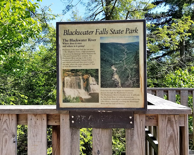 This unassuming sign holds the key to adventure. Like finding the map to a treasure in your own backyard, it marks the entrance to West Virginia's natural wonderland.