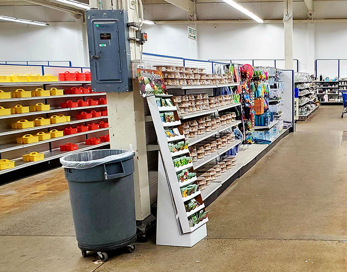 Colorful bins and neatly organized shelves await explorers brave enough to embark on the ultimate treasure hunt.
