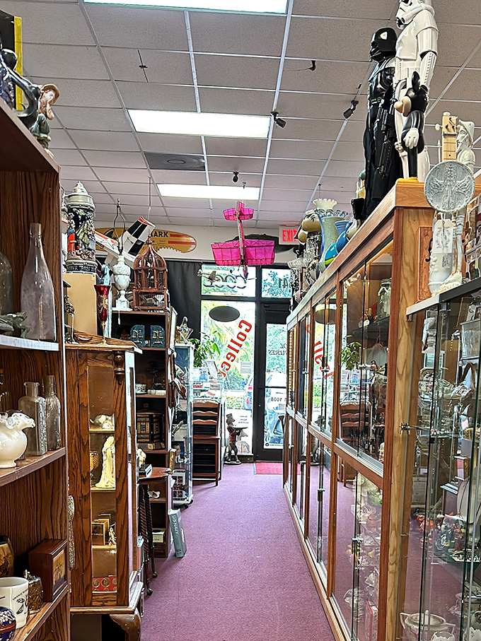 The purple carpet rolls out like a royal welcome, inviting you to explore glass cabinets filled with memories and collectibles from decades gone by.