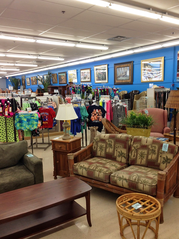 Bright blue walls and organized chaos create a shopping experience that's actually pleasant instead of overwhelming.