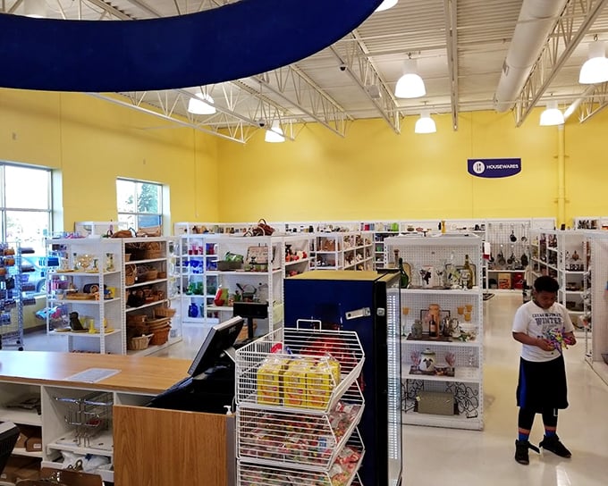 Bright yellow walls and organized shelving create a shopping experience that feels more boutique than bargain bin. The treasure hunt begins where fluorescent lights illuminate possibilities.