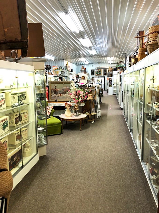 Gleaming display cases line corridors of possibility, each shelf a time capsule waiting to be opened by the right curious soul.