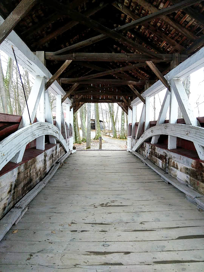 Light streams through like nature installed her own mood lighting, proving architecture and ambiance can coexist beautifully.
