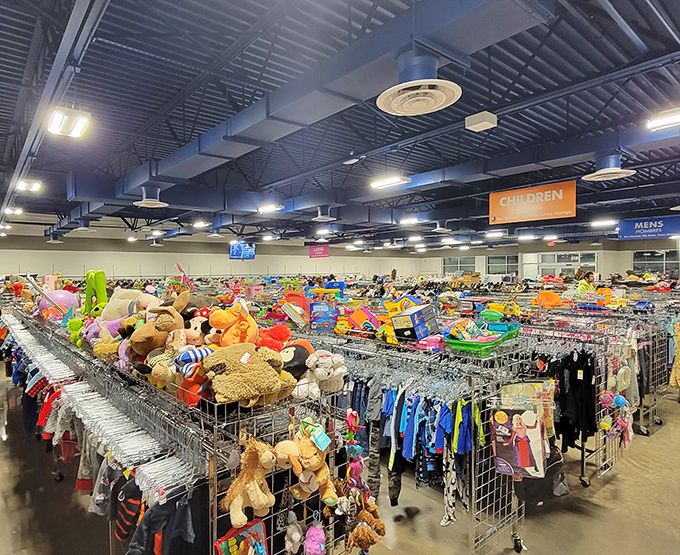 A retail ocean where clothing racks stretch to the horizon and stuffed animals wait patiently for their second chance at cuddles.
