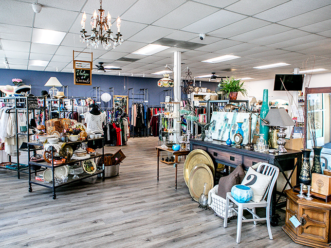 Crystal chandeliers hang above carefully curated vignettes. This isn't your average jumbled thrift store&mdash;it's organized chaos with a touch of elegance.
