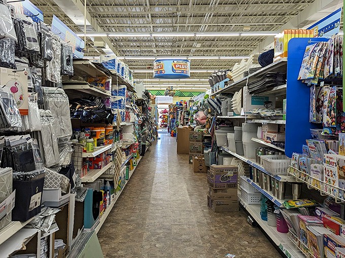 Aisles stretch toward infinity like a budget-friendly yellow brick road, each shelf a testament to organized abundance.