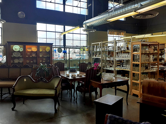 High ceilings and natural light transform this thrift store into a museum of everyday elegance, where yesterday's treasures await new stories.