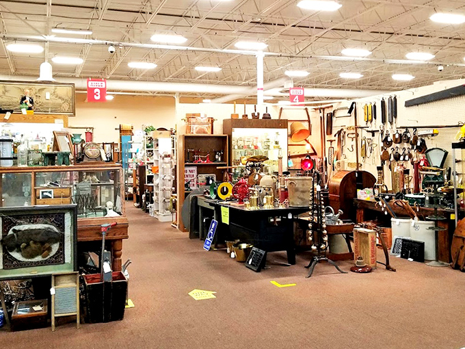 Step inside and suddenly you're in fifty different decades all having a conversation at once.