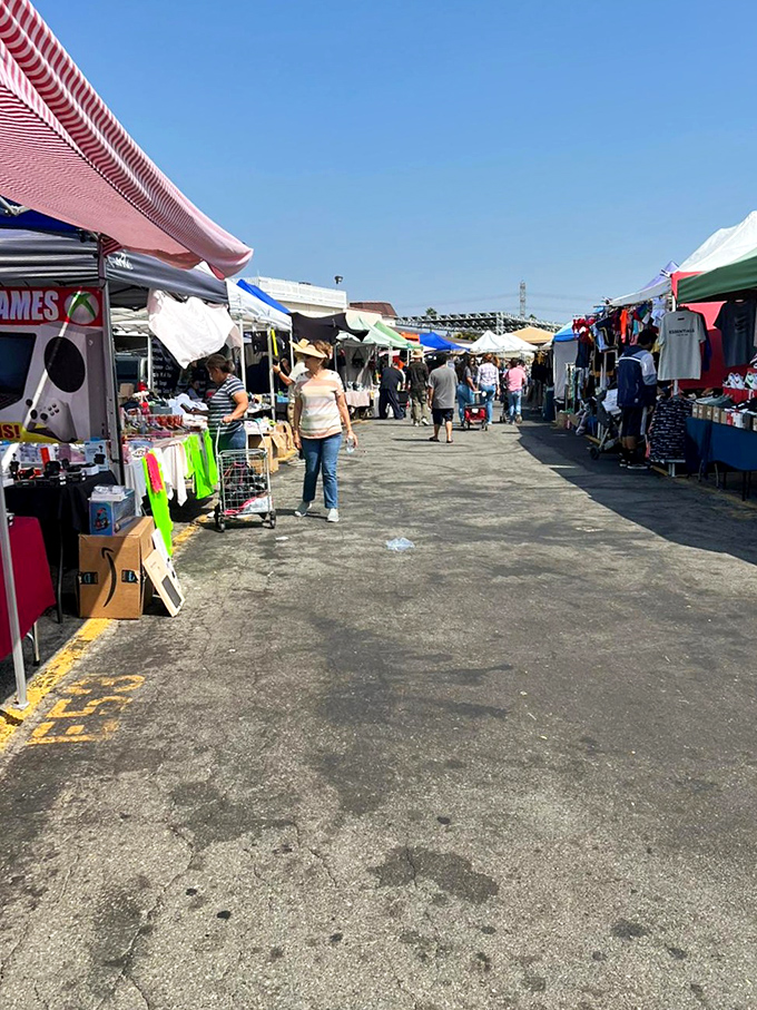 The swap meet's main artery pulses with weekend warriors on the hunt. Like a real-life version of eBay, but with better people-watching and no shipping fees.