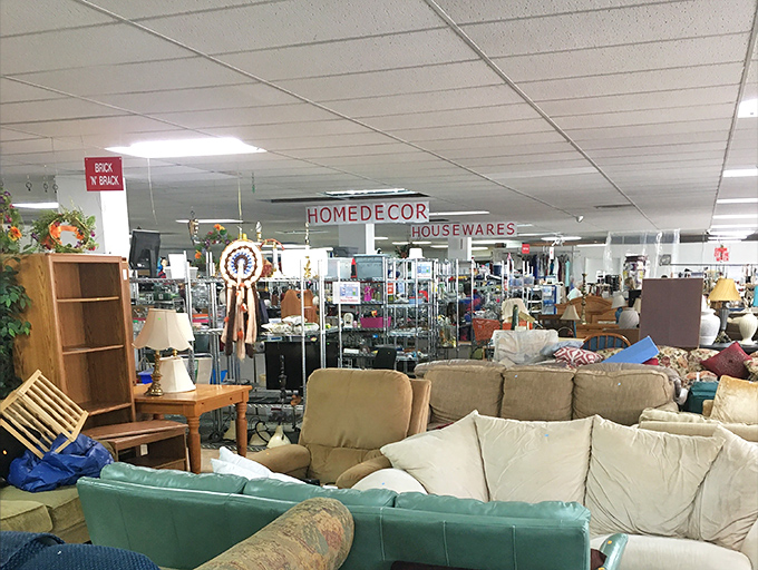 Welcome to the furniture jungle! Navigate through sofas and side tables like an explorer discovering islands of comfort in a sea of possibilities.