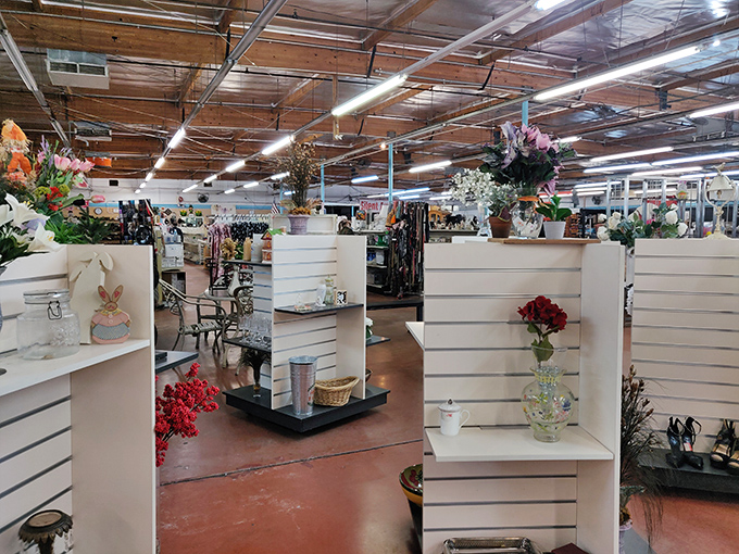 Inside, the vastness reveals itself - a wonderland of secondhand delights organized in surprisingly orderly fashion.