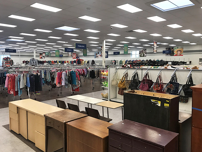 Inside, the vastness unfolds like a department store from a parallel universe where everything has a story and nothing has full price.