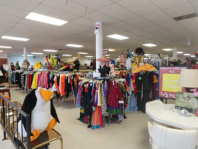 A rainbow explosion of clothing racks awaits, with color-coded sections that transform random browsing into a strategic thrifting adventure.