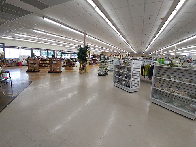 Aisles that stretch to infinity and beyond. This isn't just a store&mdash;it's an expedition waiting to happen. 