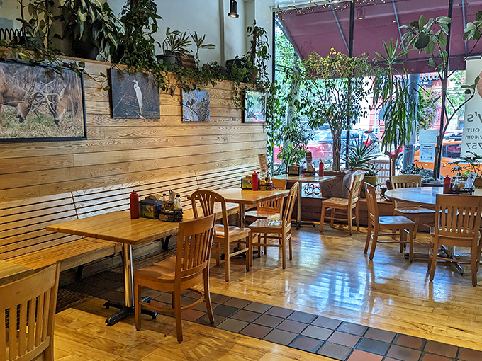 Inside Tommy's, plants cascade from every corner, creating an urban jungle where comfort food and conversation flourish equally.