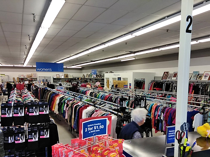Rainbow racks of possibility stretch as far as the eye can see. Each hanger holds someone's past waiting to become your future fashion statement.