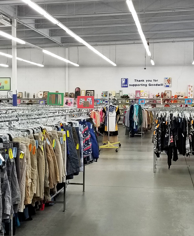 Racks upon racks of possibility stretch into the distance, a secondhand universe organized with surprising precision.