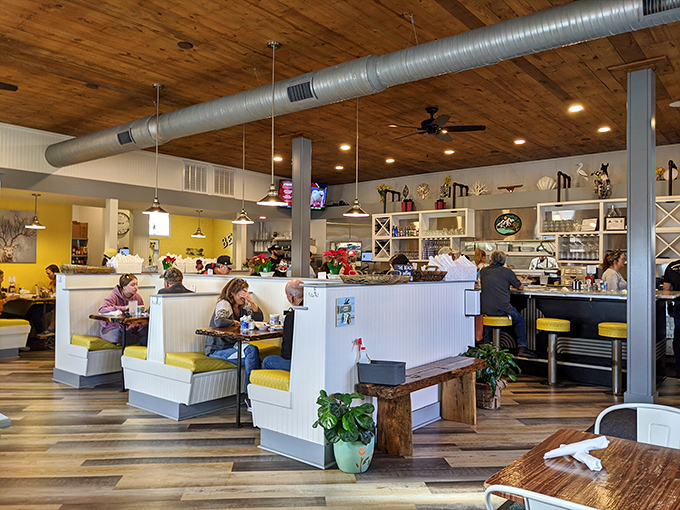 Wooden ceilings, yellow accents, and cozy booths create that perfect diner atmosphere where conversations flow as freely as the coffee.