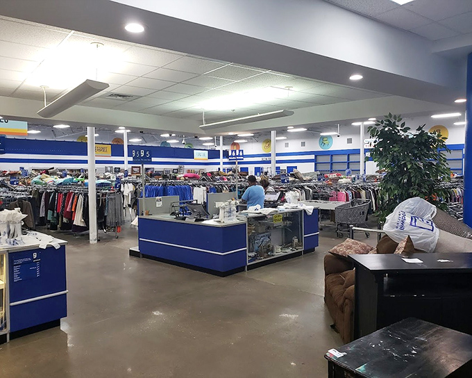 Inside, the spacious layout defies thrift store stereotypes with bright lighting and organized departments. Marie Kondo would approve.