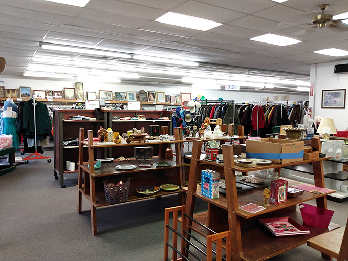 Treasure hunting in progress! Each aisle offers the thrill of discovery that no online shopping cart can replicate.