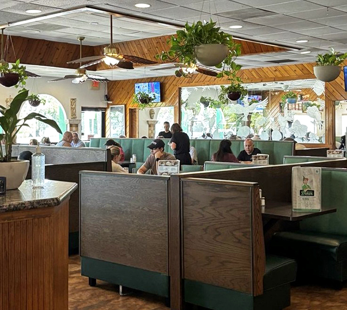 Wood paneling and hanging plants create that perfect diner atmosphere&mdash;where conversations flow as freely as the coffee. Comfort never goes out of style.