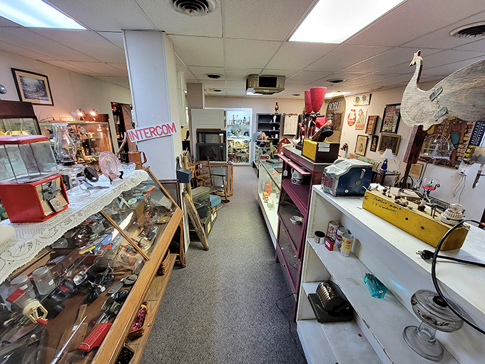 Narrow aisles become pathways through history, where glass cases guard treasures waiting for their next chapter to begin.