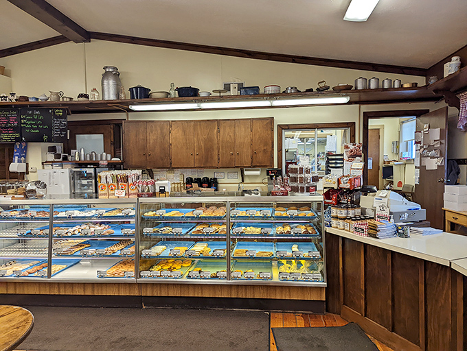 Treasure awaits behind these glass display cases, where a veritable museum of carbohydrate artistry tempts even the most determined dieters into sweet submission.