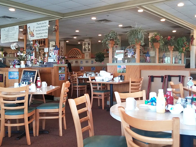 Wooden chairs, teal cushions, and hanging plants create that perfect "grandma's dining room" vibe where calories don't count and seconds are practically mandatory.