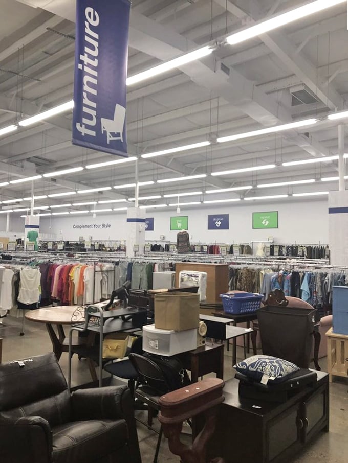 Row after gleaming row of automotive history unfolds before you, each vehicle more pristine than the last, like a time-traveling showroom floor.