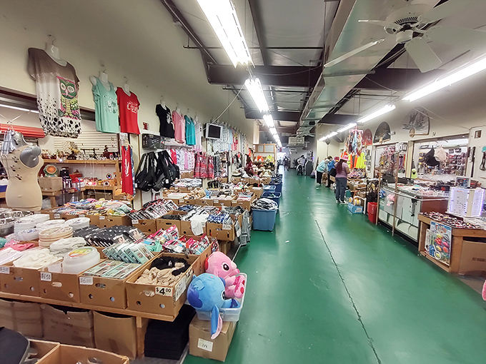 Those green floors stretch endlessly ahead, promising discoveries around every corner like a treasure hunter's dream come true.