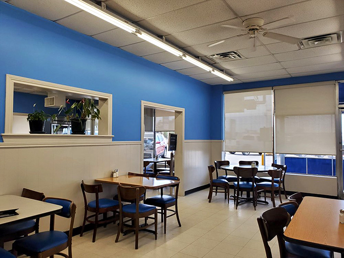Simple wooden chairs and vibrant blue walls create that perfect diner atmosphere where comfort trumps pretension and breakfast reigns supreme.