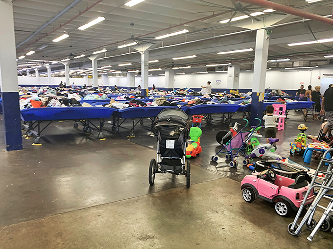 Blue bins as far as the eye can see&mdash;each one a potential goldmine of discoveries waiting for the right person to unearth them.