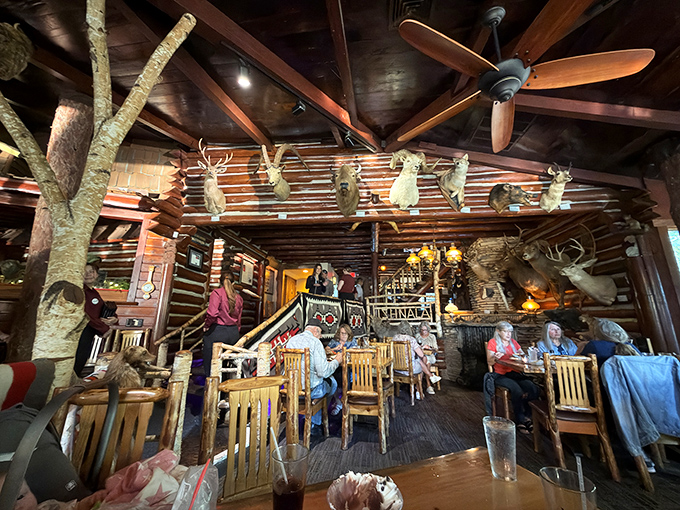 Dining beneath watchful woodland creatures might feel strange elsewhere, but at Ishnala, those mounted trophies are just longtime dinner companions overseeing your feast.