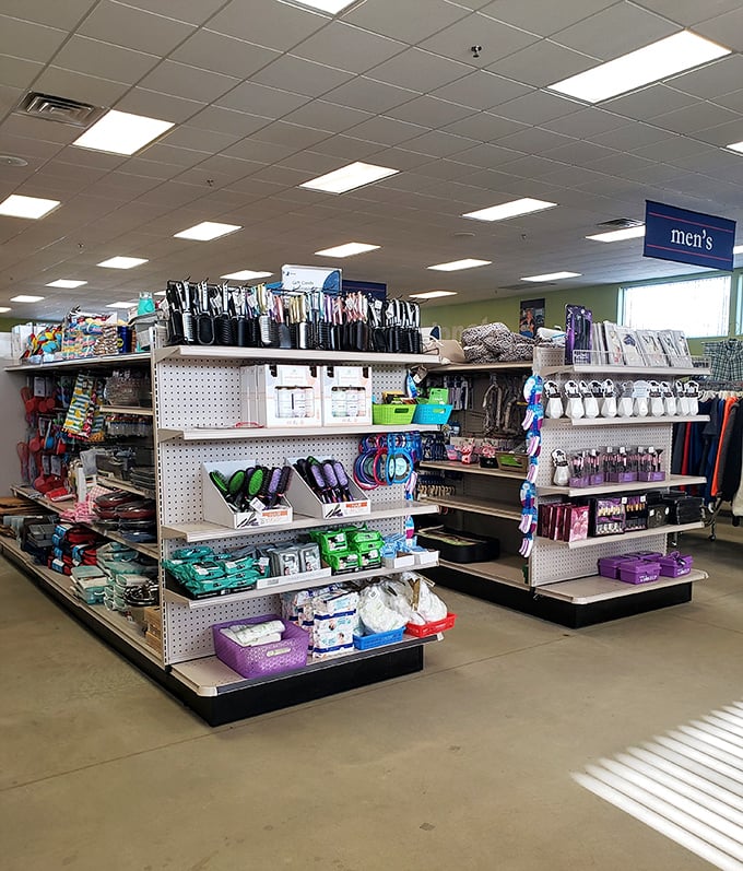 Vinyl records meet exposed brick in this cozy interior where breakfast dreams come true. The perfect backdrop for coffee-fueled conversations and maple syrup-induced happiness.