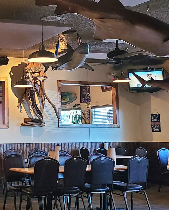Not just decorative—those sharks dangling from the ceiling are a promise of the ocean's bounty waiting below on your plate.