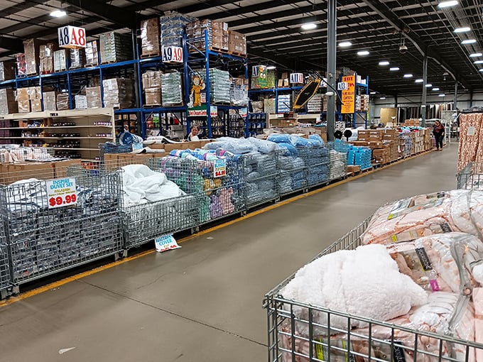 Warehouse wonderland stretches as far as the eye can see. Those towering blue shelves aren't just storage&mdash;they're the retail equivalent of buried treasure maps.
