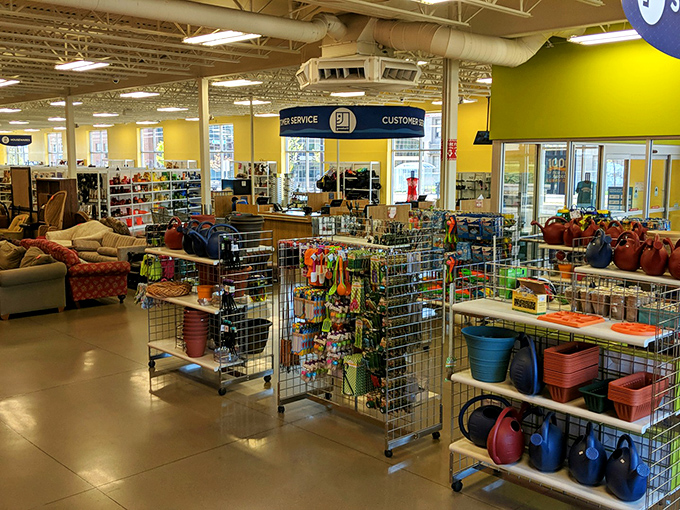 Inside, a wonderland of organized chaos awaits. Colorful housewares, furniture, and seasonal items create a retail adventure that makes big-box stores seem boring by comparison.