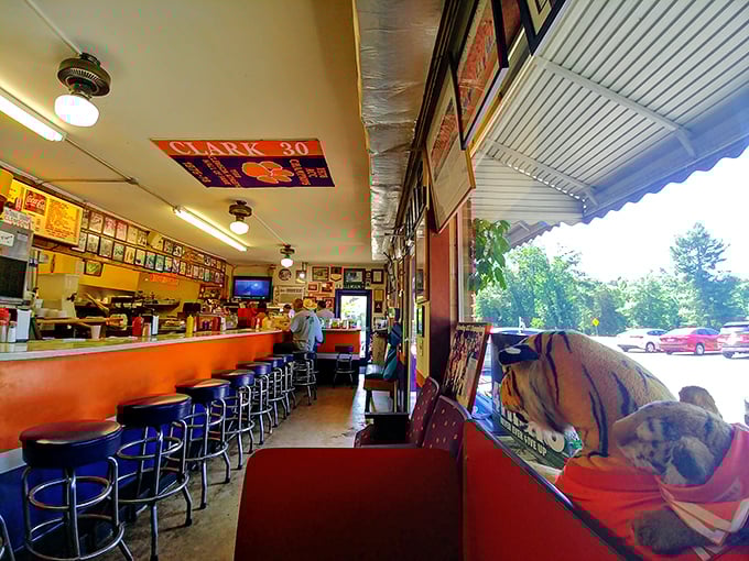 The counter seating isn't just functional&mdash;it's front-row tickets to culinary theater where Clemson sports memorabilia serves as the backdrop to everyday magic.